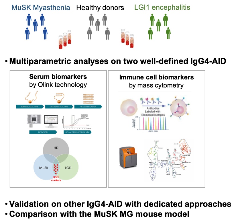 IgG4-TREAT - Projects